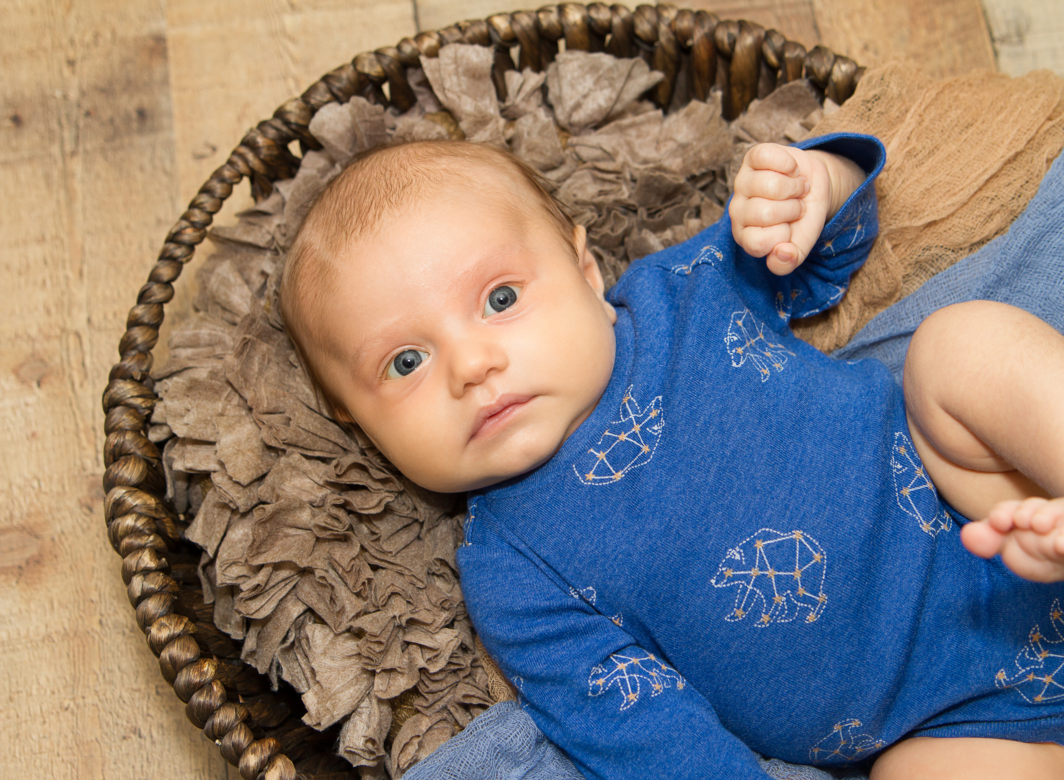 _MG_4316 – Rachel Pledger